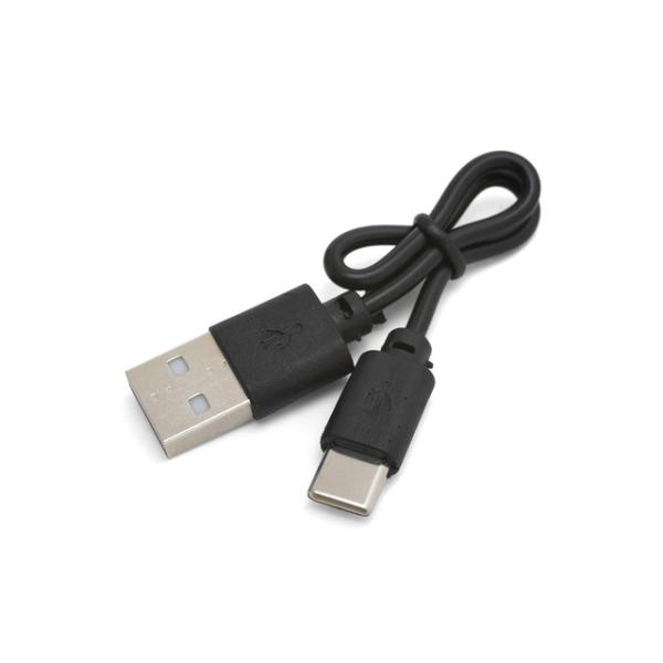 ジーフォース USB Type-C 充電ケーブル(LEVIO) GB475■メーカー：ジーフォース(G-Force)