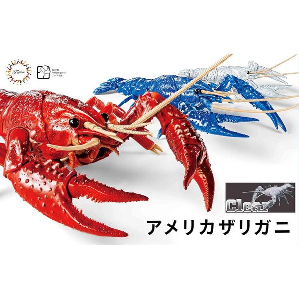 フジミ模型 自由研究シリーズ No.024 EX-3 いきもの編 アメリカザリガニ(クリアー) プラモデル■メーカー：フジミ模型(FUJIMI)