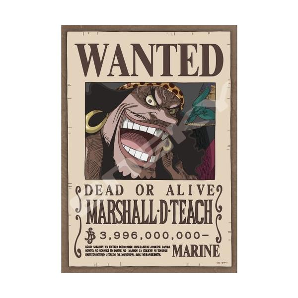 ジグソーパズル 208ピース ワンピース 「四皇」黒ひげ ティーチ 18.2x25.7cm 208-149■メーカー：エンスカイ(ENSKY)