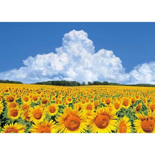 【発売日：2026年05月22日】ジグソーパズル 500ピース 向日葵の丘と入道雲（北海道） 38×53cm  05-1102■メーカー：やのまん(YANOMAN)