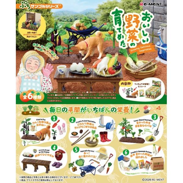 【発売日：2026年09月28日】ぷちサンプル おいしい野菜の育てかた　BOX　6個入　【1BOXで全種揃います】■メーカー：リーメント(RE-MENT)