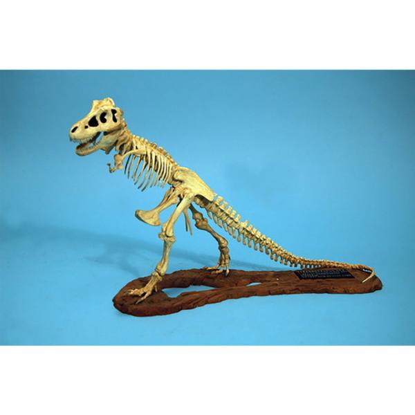 グレンコモデル 1/24 ティラノサウルス 骨格モデル プラモデル GM07906■メーカー：グレンコモデル(プラッツ)