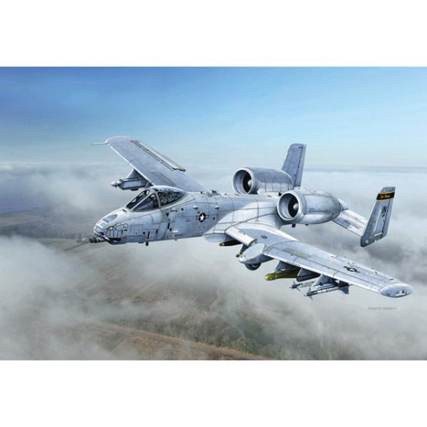 イタレリ 1/48 アメリカ空軍 A-10C "ブラックスネークス" プラモデル IT2725■メーカー：イタレリ(ITALERI)
