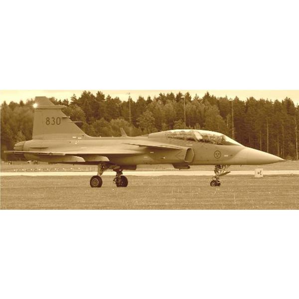イタレリ 1/48 スウェーデン空軍 JAS39 グリペン 複座タイプ プラモデル IT2664■メーカー：イタレリ(ITALERI)