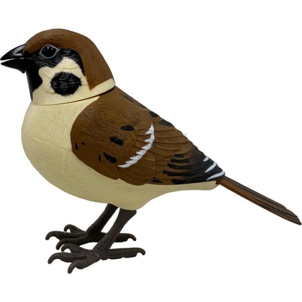 日本の野鳥ミュージックバード スズメ■メーカー：TKSK