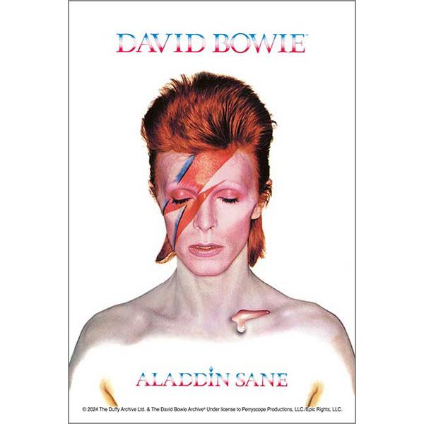 ジグソーパズル 120ピースminiパズル LEGEND OF ROCK ALADDIN SANE (アラジン・セイン) 14.7×10cm 120-016■メーカー：アップルワン(APPLEONE)
