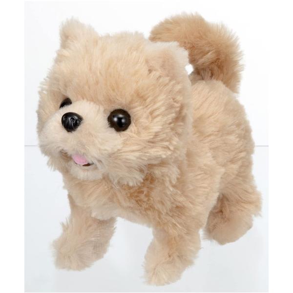 ちっちゃい体で元気いっぱいのアクションがかわいいワンちゃん！シッポを振りながらトコトコ歩き、立ち止まってシッポを振ります。ふせをしながら鳴きます。「ピッコリーネ」とは、ちいさくてかわいらしいね！という意味をこめてつけた名前です。フサフサの毛...