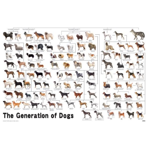 ジグソーパズル 1000ピース 犬の系統図 12-625s■メーカー：エポック(EPOCH)
