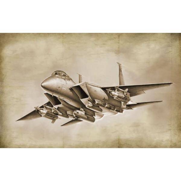 イタレリ 1/72 アメリカ空軍 F-15E ストライク イーグル プラモデル IT90166■メーカー：イタレリ(ITALERI)