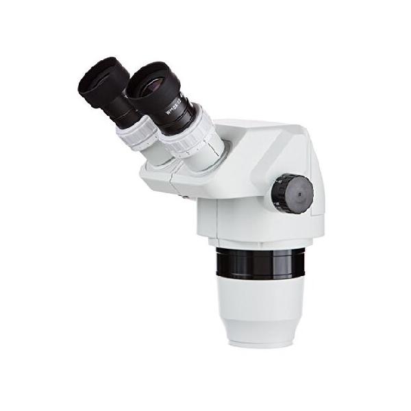 本商品はアメリカから日本へ送料無料で配送（目安5〜10営業日）します。　他店と比べ価格や在庫に大きな差異がある場合、ご購入前にお問い合わせください。システム更新遅延によるエラーのため注文キャンセルさせていただく可能性があります。日本では入手...