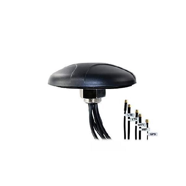 本商品はアメリカから日本へ送料無料で配送（目安5〜10営業日）します。　他店と比べ価格や在庫に大きな差異がある場合、ご購入前にお問い合わせください。システム更新遅延によるエラーのため注文キャンセルさせていただく可能性があります。日本では入手...