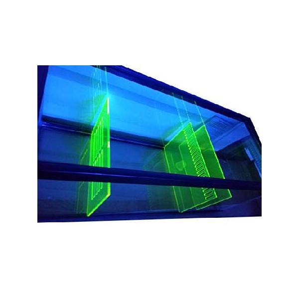 本商品はアメリカから日本へ送料無料で配送（目安5〜10営業日）します。　他店と比べ価格や在庫に大きな差異がある場合、ご購入前にお問い合わせください。システム更新遅延によるエラーのため注文キャンセルさせていただく可能性があります。日本では入手...