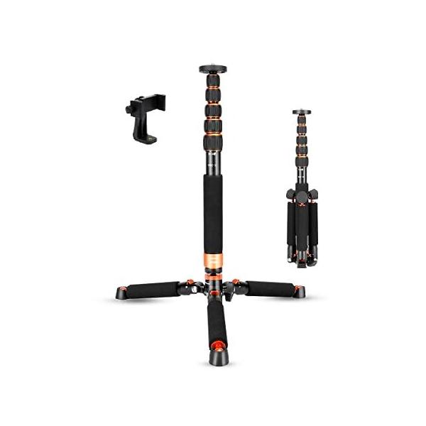 本商品はアメリカから日本へ送料無料で配送（目安5〜10営業日）します。　他店と比べ価格や在庫に大きな差異がある場合、ご購入前にお問い合わせください。システム更新遅延によるエラーのため注文キャンセルさせていただく可能性があります。日本では入手...