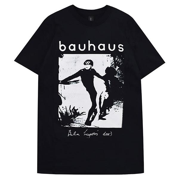 79年結成、DALI'S CARでの活動でも知られるピーター・マーフィーが率いたゴシックパンクの祖、BAUHAUS。デヴィッド・ボウイやT.REXの名曲をカバーするなどグラムロックの流れを汲んだ独自のサウンドを展開、その幅広い音楽性から今も...