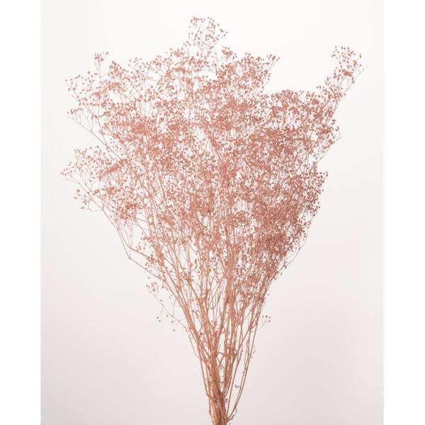 【商品詳細】【商品名】大地農園/ソフトカスミ草【サイズ】L約40.0cm【入数】22g【注意】※ご使用のＰＣ環境により、実物の色目と差異がある場合もあります。※生花由来の商品のため、商品ごとに色・サイズ・状態等に個体差がございます。そのため...