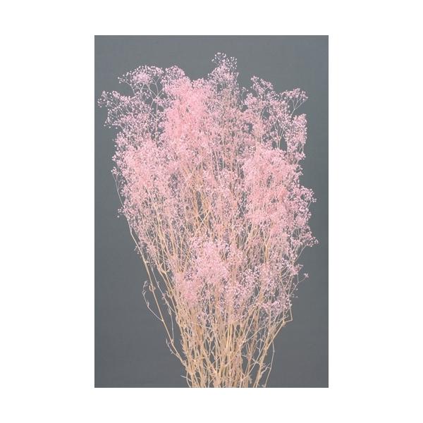 【商品詳細】【商品名】大地農園/ソフトカスミ草【サイズ】L約40.0cm【入数】22g【注意】※ご使用のＰＣ環境により、実物の色目と差異がある場合もあります。※生花由来の商品のため、商品ごとに色・サイズ・状態等に個体差がございます。そのため...