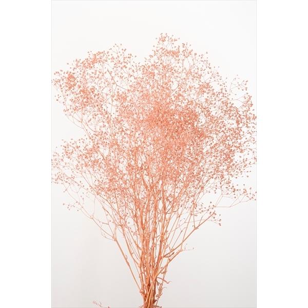 【商品詳細】【商品名】大地農園/ソフトカスミ草【サイズ】L約40.0cm【入数】22g【注意】※ご使用のＰＣ環境により、実物の色目と差異がある場合もあります。※生花由来の商品のため、商品ごとに色・サイズ・状態等に個体差がございます。そのため...