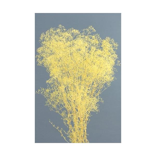 【商品詳細】【商品名】大地農園/ソフトカスミ草【サイズ】L約40.0cm【入数】22g【注意】※ご使用のＰＣ環境により、実物の色目と差異がある場合もあります。※生花由来の商品のため、商品ごとに色・サイズ・状態等に個体差がございます。そのため...