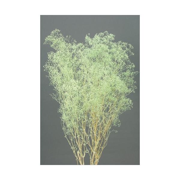 【商品詳細】【商品名】大地農園/ソフトカスミ草【サイズ】L約40.0cm【入数】22g【注意】※ご使用のＰＣ環境により、実物の色目と差異がある場合もあります。※生花由来の商品のため、商品ごとに色・サイズ・状態等に個体差がございます。そのため...