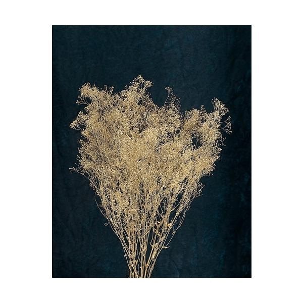 【商品詳細】【商品名】大地農園/スーパーソフトミニカスミ【サイズ】L約50cm【入数】21g【注意】※ご使用のＰＣ環境により、実物の色目と差異がある場合もあります。※生花由来の商品のため、商品ごとに色・サイズ・状態等に個体差がございます。そ...