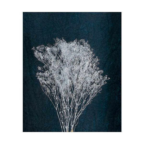 【商品詳細】【商品名】大地農園/スーパーソフトミニカスミ【サイズ】L約50cm【入数】21g【注意】※ご使用のＰＣ環境により、実物の色目と差異がある場合もあります。※生花由来の商品のため、商品ごとに色・サイズ・状態等に個体差がございます。そ...