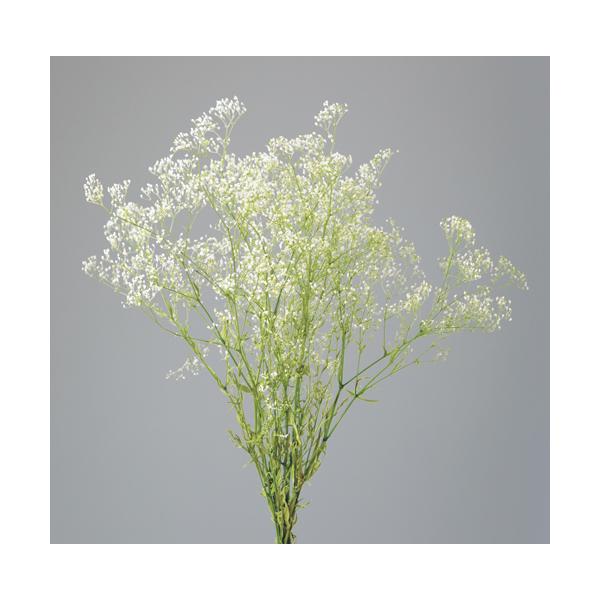 【商品詳細】【商品名】スーパーソフトミニカスミ草・フレア【サイズ】L約50cm【入数】10-15g【注意】※ご使用のＰＣ環境により、実物の色目と差異がある場合もあります。※生花由来の商品のため、商品ごとに色・サイズ・状態等に個体差がございま...