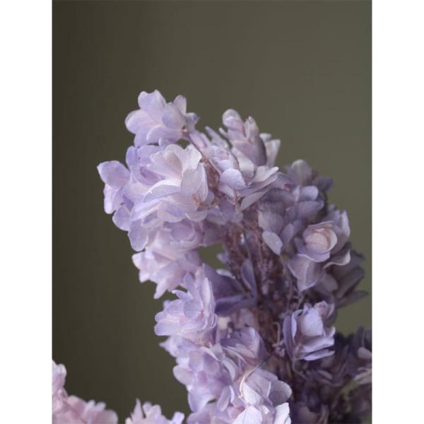 【商品詳細】【商品名】大地農園/カシワバアジサイ【入り数】1箱(約2輪)【注意】※ご使用のＰＣ環境により、実物の色目と差異がある場合もあります。※生花由来の商品のため、商品ごとに色・サイズ・状態等に個体差がございます。そのため、入荷により色...