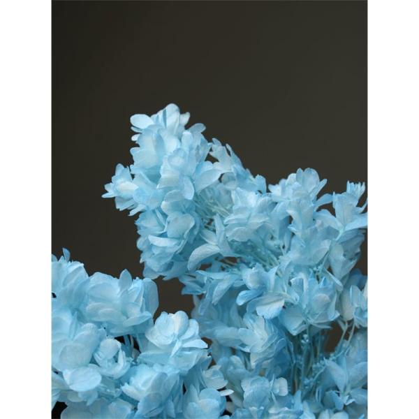 【商品詳細】【商品名】大地農園/カシワバアジサイ【入り数】1箱(約2輪)【注意】※ご使用のＰＣ環境により、実物の色目と差異がある場合もあります。※生花由来の商品のため、商品ごとに色・サイズ・状態等に個体差がございます。そのため、入荷により色...