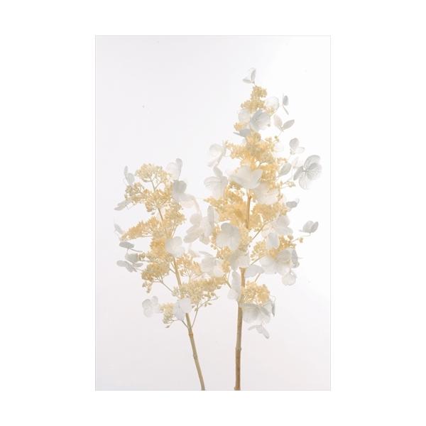 【商品詳細】【商品名】大地農園/ソフトノリウツギ 【入り数】1束(約2本)【サイズ】約65cmL【注意】※ご使用のＰＣ環境により、実物の色目と差異がある場合もあります。※生花由来の商品のため、商品ごとに色・サイズ・状態等に個体差がございます...