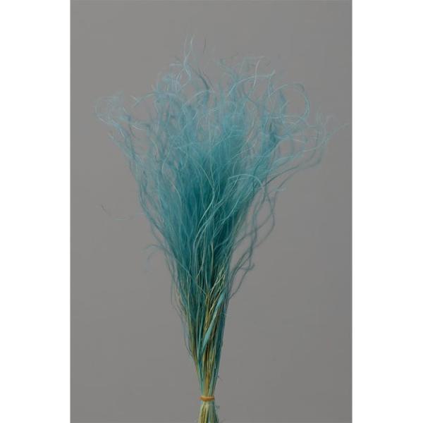 【商品詳細】【商品名】大地農園/フェザーグラス【サイズ】約30-40cmL【入数】1束(約12g)【注意】※ご使用のＰＣ環境により、実物の色目と差異がある場合もあります。※生花由来の商品のため、商品ごとに色・サイズ・状態等に個体差がございま...
