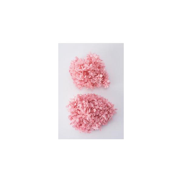 【商品詳細】【商品名】大地農園/ソフトピラミッドアジサイ【入り数】1箱(約2輪)【注意】※ご使用のＰＣ環境により、実物の色目と差異がある場合もあります。※生花由来の商品のため、商品ごとに色・サイズ・状態等に個体差がございます。そのため、入荷...