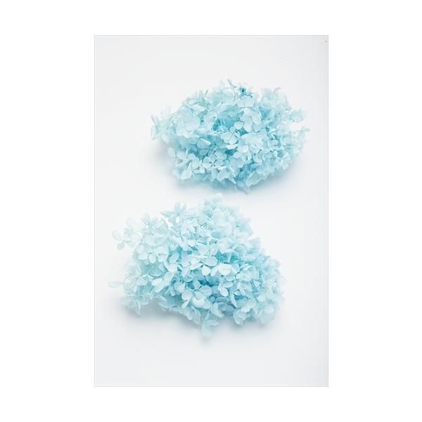 【商品詳細】【商品名】大地農園/ソフトピラミッドアジサイ【入り数】1箱(約2輪)【注意】※ご使用のＰＣ環境により、実物の色目と差異がある場合もあります。※生花由来の商品のため、商品ごとに色・サイズ・状態等に個体差がございます。そのため、入荷...