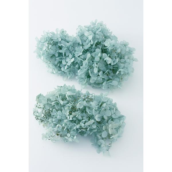 【商品詳細】【商品名】大地農園/ソフトピラミッドアジサイ【入り数】1箱(約2輪)【注意】※ご使用のＰＣ環境により、実物の色目と差異がある場合もあります。※生花由来の商品のため、商品ごとに色・サイズ・状態等に個体差がございます。そのため、入荷...