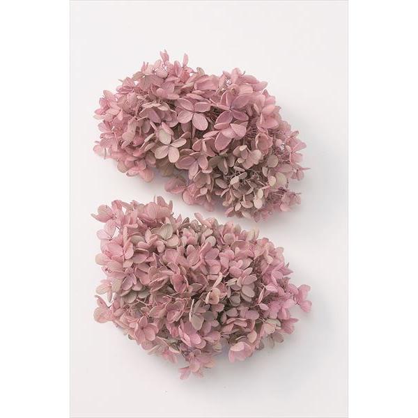 【商品詳細】【商品名】大地農園/ソフトピラミッドアジサイ【入り数】1箱(約2輪)【注意】※ご使用のＰＣ環境により、実物の色目と差異がある場合もあります。※生花由来の商品のため、商品ごとに色・サイズ・状態等に個体差がございます。そのため、入荷...