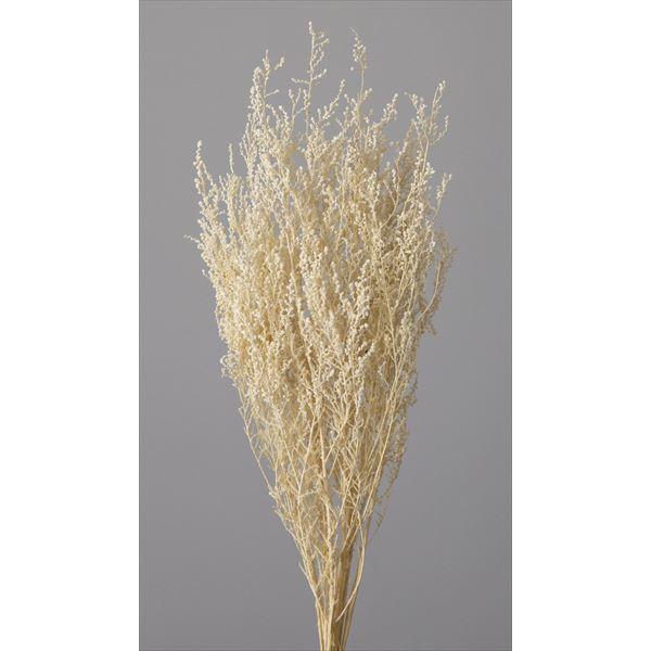 【商品詳細】【商品名】大地農園/ソフトストーベ【サイズ】L約40-50cm【入数】約35g【注意】※ご使用のＰＣ環境により、実物の色目と差異がある場合もあります。※生花由来の商品のため、商品ごとに色・サイズ・状態等に個体差がございます。その...