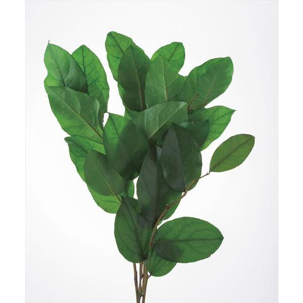 【商品詳細】【商品名】大地農園/ソフトレモンリーフ【サイズ】L約35-50cm【入数】1束（40-45g)【注意】※ご使用のＰＣ環境により、実物の色目と差異がある場合もあります。※生花由来の商品のため、商品ごとに色・サイズ・状態等に個体差が...