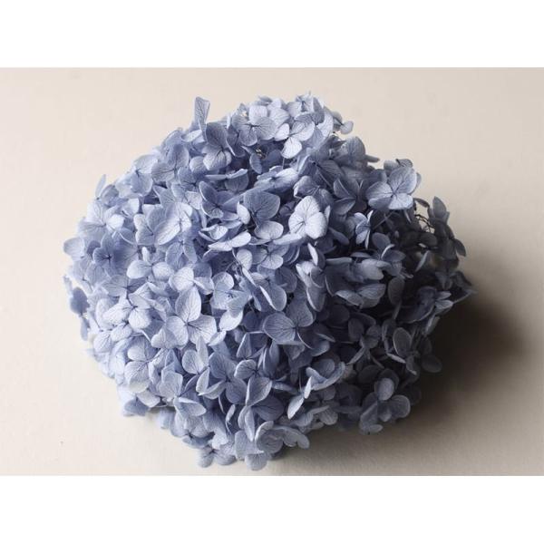 【商品詳細】【商品名】大地農園/ソフトアナベル・ヘッド【入り数】1箱(約2輪)【注意】※ご使用のＰＣ環境により、実物の色目と差異がある場合もあります。※生花由来の商品のため、商品ごとに色・サイズ・状態等に個体差がございます。そのため、入荷に...