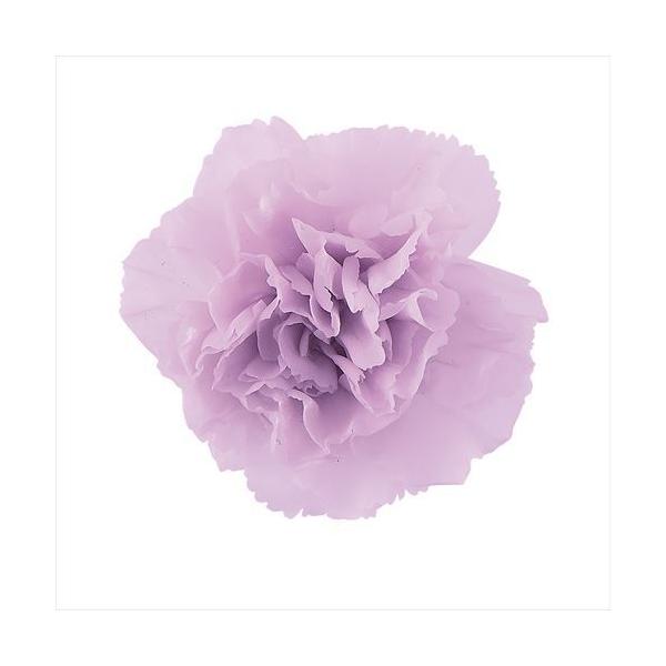 【商品詳細】【商品名】大地農園/ミニカーネーション【入り数】1箱（9輪)【サイズ】約3.5-4.5cm【注意】※ご使用のＰＣ環境により、実物の色目と差異がある場合もあります。※生花由来の商品のため、商品ごとに色・サイズ・状態等に個体差がござ...