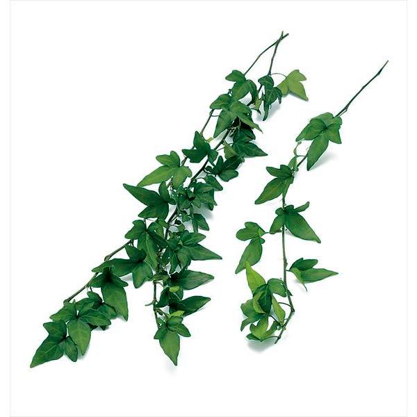 【商品詳細】【商品名】大地農園/アイビー・シャムロック【サイズ】約40-45cmL【入数】1束（約3本)【注意】※ご使用のＰＣ環境により、実物の色目と差異がある場合もあります。※生花由来の商品のため、商品ごとに色・サイズ・状態等に個体差がご...