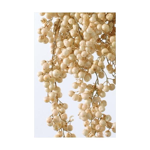 【商品詳細】【商品名】大地農園/ペッパーベリー・プリザーブド【入数】1束（約55g)【注意】※ご使用のＰＣ環境により、実物の色目と差異がある場合もあります。※生花由来の商品のため、商品ごとに色・サイズ・状態等に個体差がございます。そのため、...