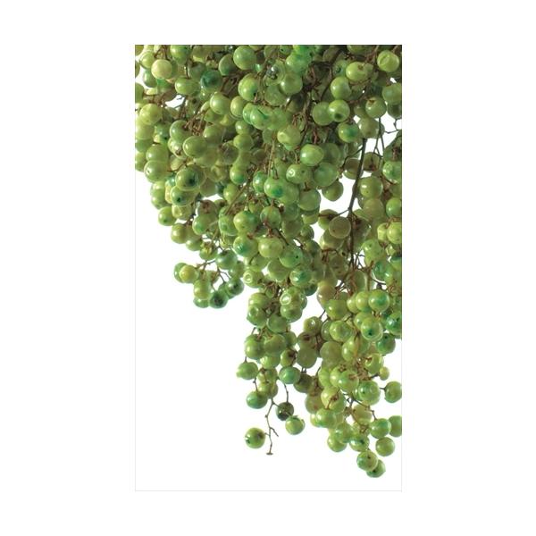 【商品詳細】【商品名】大地農園/ペッパーベリー・プリザーブド【入数】1束（約55g)【注意】※ご使用のＰＣ環境により、実物の色目と差異がある場合もあります。※生花由来の商品のため、商品ごとに色・サイズ・状態等に個体差がございます。そのため、...