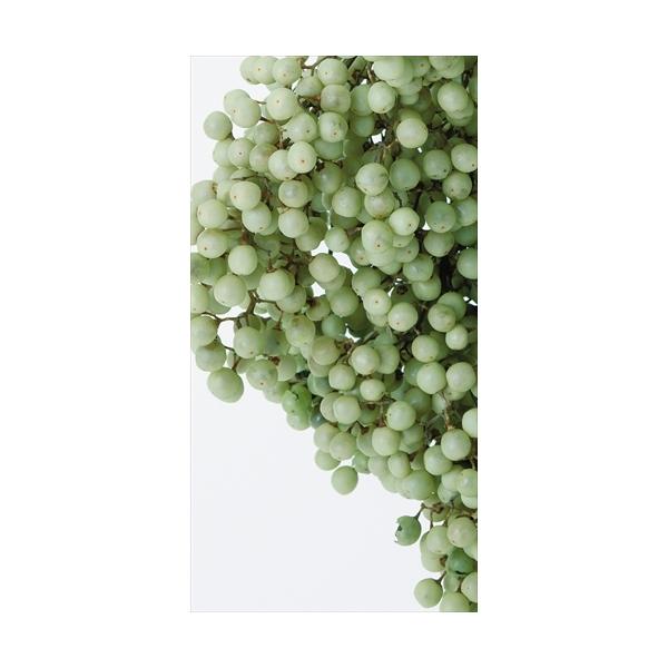 【商品詳細】【商品名】大地農園/ペッパーベリー・プリザーブド【入数】1束（約55g)【注意】※ご使用のＰＣ環境により、実物の色目と差異がある場合もあります。※生花由来の商品のため、商品ごとに色・サイズ・状態等に個体差がございます。そのため、...