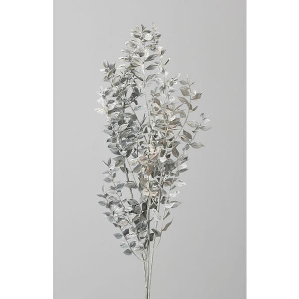 【商品詳細】【商品名】大地農園/ラスカス・プリザーブド【入り数】1束(約35g)【サイズ】約50-60cm【注意】※ご使用のＰＣ環境により、実物の色目と差異がある場合もあります。※生花由来の商品のため、商品ごとに色・サイズ・状態等に個体差が...