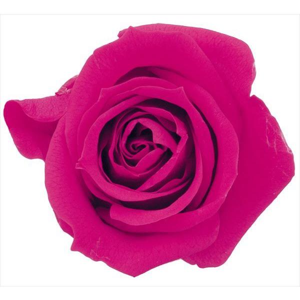 【商品詳細】【商品名】大地農園/ローズ・ミミ【サイズ】花径:約3-3.5cmφ・花丈:約2.5-3cm【入数】1箱（約9輪）【注意】※ご使用のＰＣ環境により、実物の色目と差異がある場合もあります。※生花由来の商品のため、商品ごとに色・サイズ...