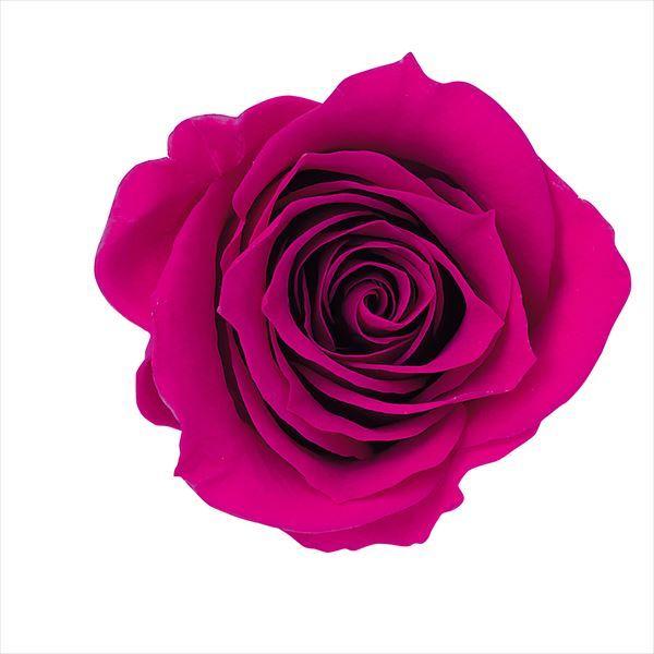 【商品詳細】【商品名】大地農園/ローズ・ミミ【サイズ】花径:約3-3.5cmφ・花丈:約2.5-3cm【入数】1箱（約9輪）【注意】※ご使用のＰＣ環境により、実物の色目と差異がある場合もあります。※生花由来の商品のため、商品ごとに色・サイズ...