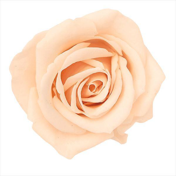【商品詳細】【商品名】大地農園/ローズ・ミミ【サイズ】花径:約3-3.5cmφ・花丈:約2.5-3cm【入数】1箱（約9輪）【注意】※ご使用のＰＣ環境により、実物の色目と差異がある場合もあります。※生花由来の商品のため、商品ごとに色・サイズ...