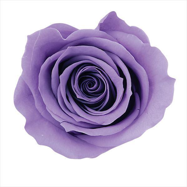 【商品詳細】【商品名】大地農園/ローズ・ミミ【サイズ】花径:約3-3.5cmφ・花丈:約2.5-3cm【入数】1箱（約9輪）【注意】※ご使用のＰＣ環境により、実物の色目と差異がある場合もあります。※生花由来の商品のため、商品ごとに色・サイズ...