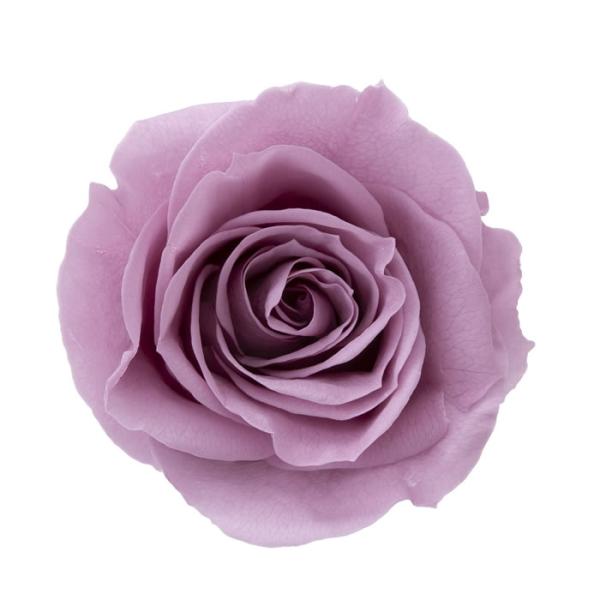 【商品詳細】【商品名】大地農園/ローズ・ミミ【サイズ】花径:約3-3.5cmφ・花丈:約2.5-3cm【入数】1箱（約9輪）【注意】※ご使用のＰＣ環境により、実物の色目と差異がある場合もあります。※生花由来の商品のため、商品ごとに色・サイズ...