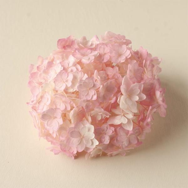 【商品名】大地農園/アジサイ・ルナ【入り数】約1輪（1箱）【注意】※ご使用のＰＣ環境により、実物の色目と差異がある場合もあります。※生花由来の商品のため、商品ごとに色・サイズ・状態等に個体差がございます。そのため、入荷により色目やサイズが掲...