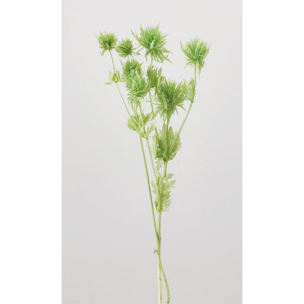 【商品詳細】【商品名】大地農園/エリンジューム・マグネーター【入り数】1束(約2本)【サイズ】約45-50cm【注意】※ご使用のＰＣ環境により、実物の色目と差異がある場合もあります。※生花由来の商品のため、商品ごとに色・サイズ・状態等に個体...